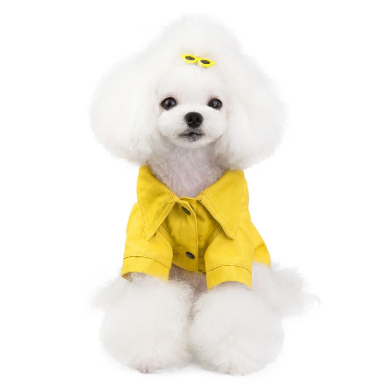 Cotton Classic pet clothes - Edicoco